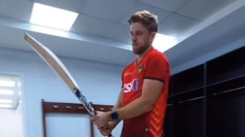 David Willey hits the ground running | ADKR 2024
